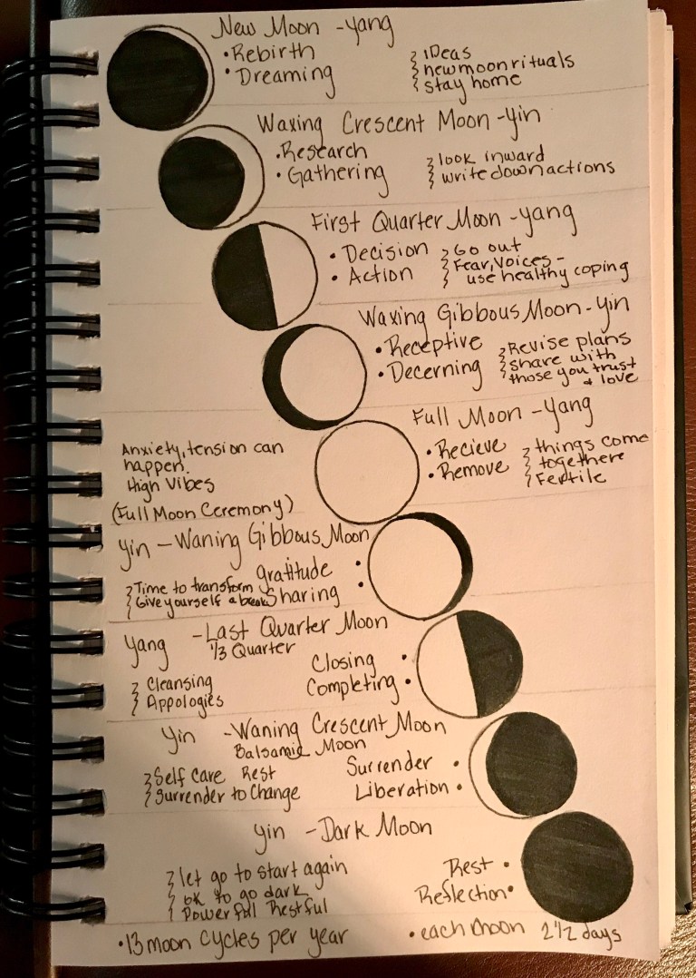 Living with Luna – The Holistic Road